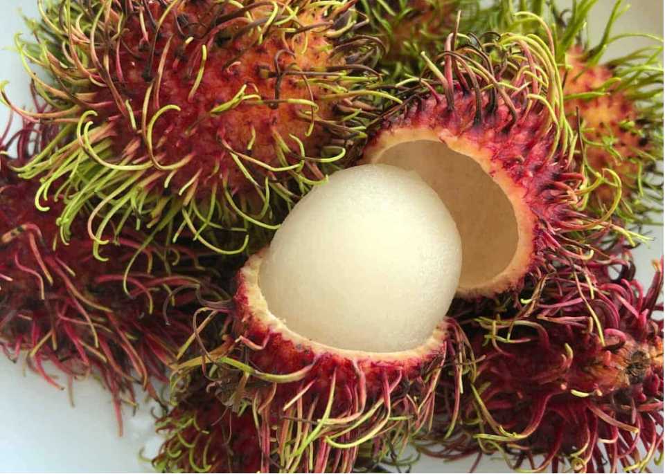 Top 20 Exotic Fruits - Crazy Masala Food