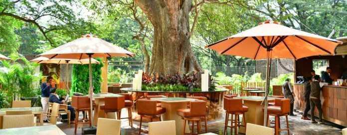 Top 20 Thai Restaurants to Visit If You're A Bangalorean - Crazy Masala ...
