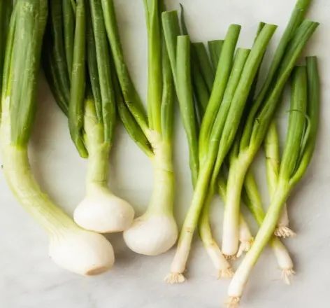 Top 20 Kinds Of Edible Roots - Crazy Masala Food