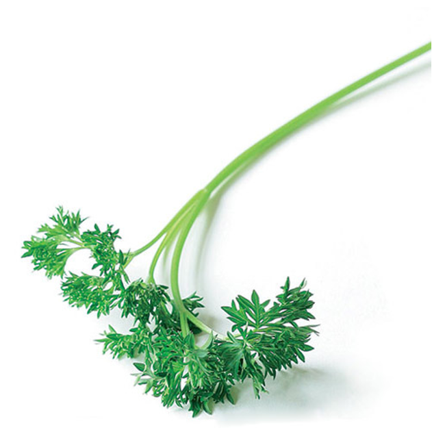 20 Herbs Types You Can Use in Cooking - Crazy Masala Food