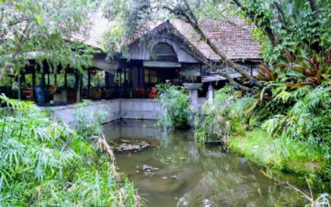 Top 20 Tree-House Restaurants - Crazy Masala Food
