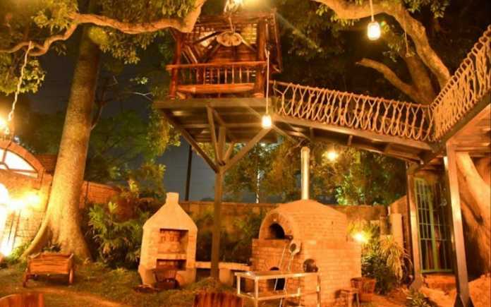 Top 20 Tree-House Restaurants - Crazy Masala Food