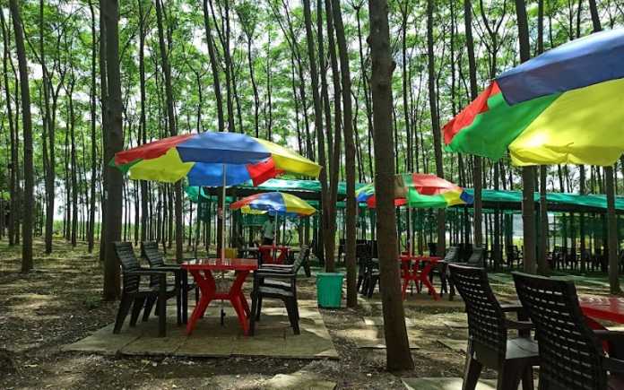Top 20 Tree-House Restaurants - Crazy Masala Food