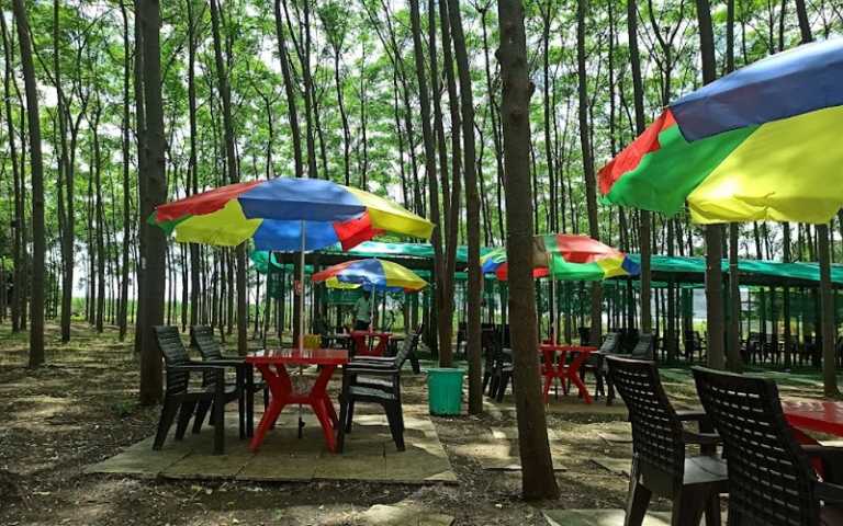 Top 20 Tree-House Restaurants - Crazy Masala Food