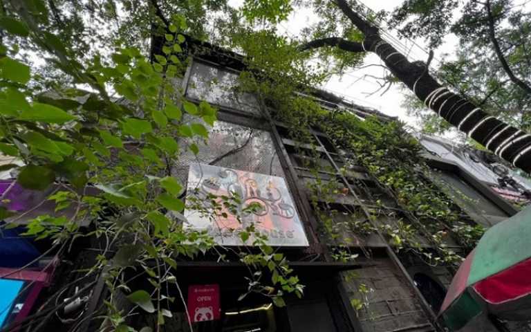 Top 20 Tree-House Restaurants - Crazy Masala Food