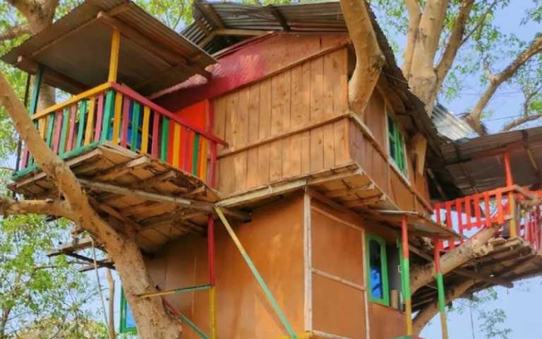 Top 20 Tree-House Restaurants - Crazy Masala Food
