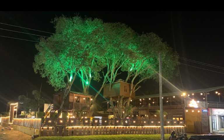 Top 20 Tree-House Restaurants - Crazy Masala Food
