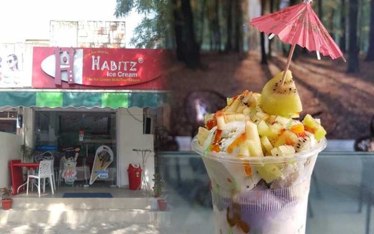 Top 20 Best Ice-Cream Shops In Jaipur - Crazy Masala Food
