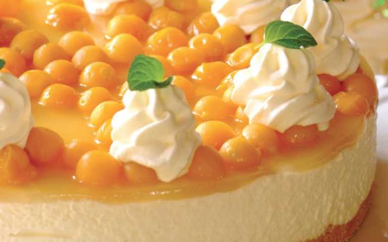 Top 20 Delicious Gooseberry Recipes - Crazy Masala Food
