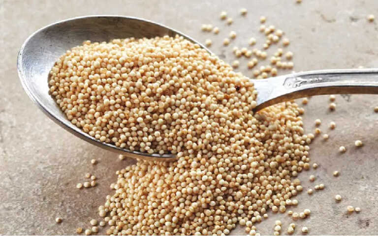 Top 20 Indian Grains And Their Nutritional Value - Crazy Masala Food