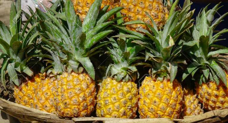 Top 20 Different Types of Pineapple You Should Know - Crazy Masala Food