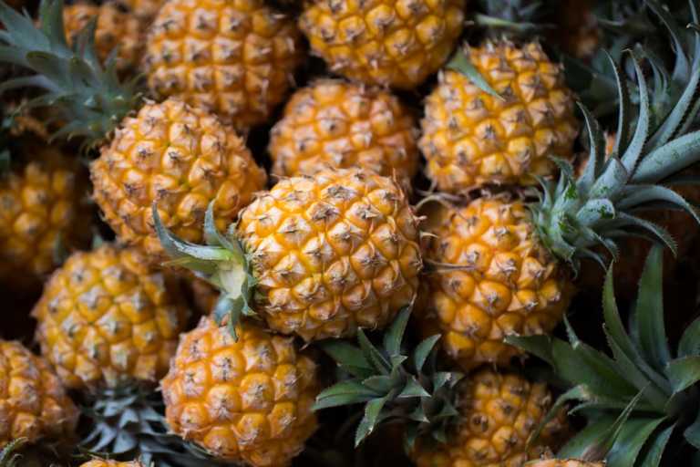 Top 20 Different Types of Pineapple You Should Know - Crazy Masala Food